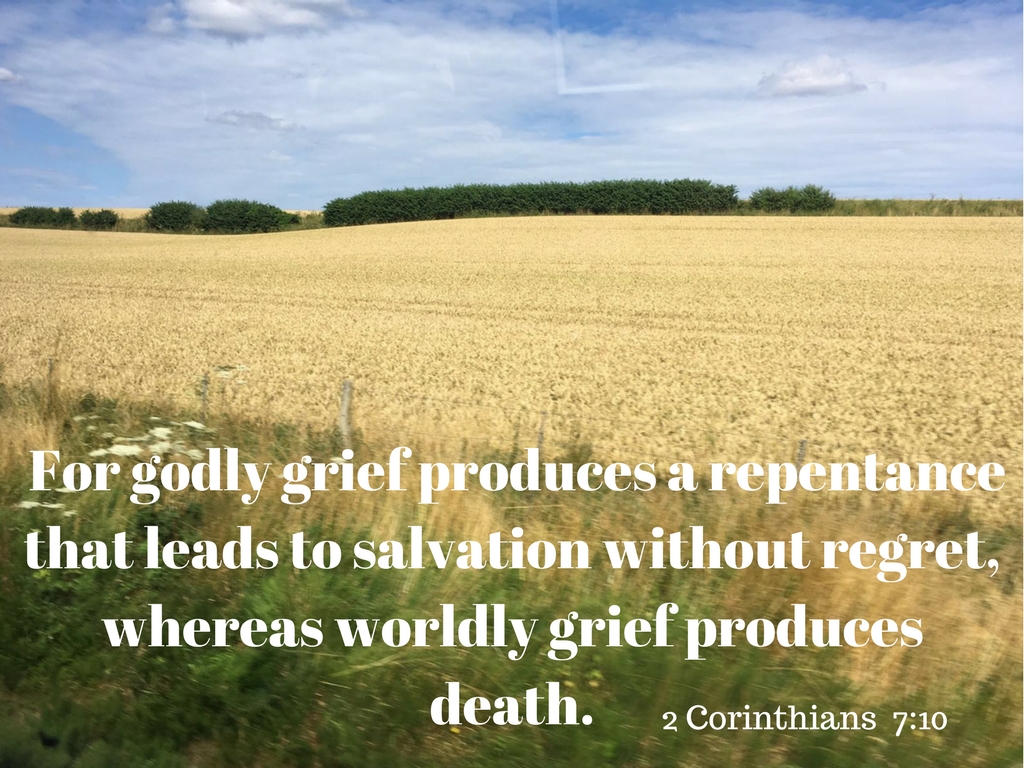 Godly grief produces a repentance that leads to salvation. - David Maby