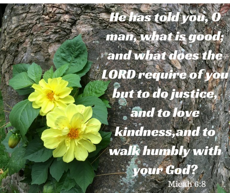 None is righteous, no, not one - David Maby