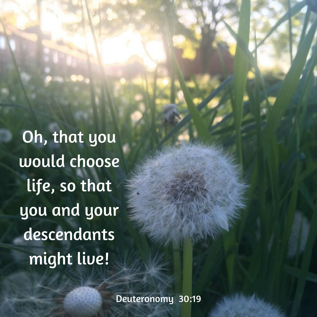 Shall we continue in sin? - David Maby