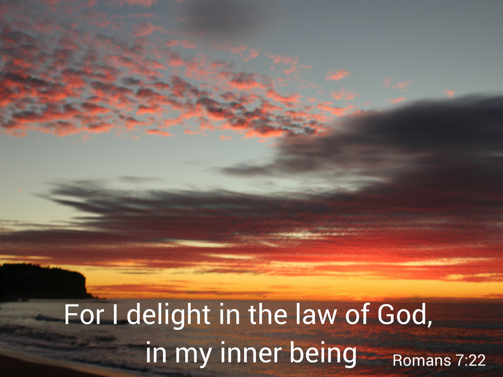 For I delight in the law of God, in my inner being, - David Maby