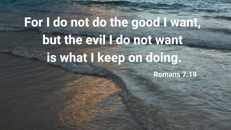 I do not do the good I want, but the evil I do not want is what I keep ...